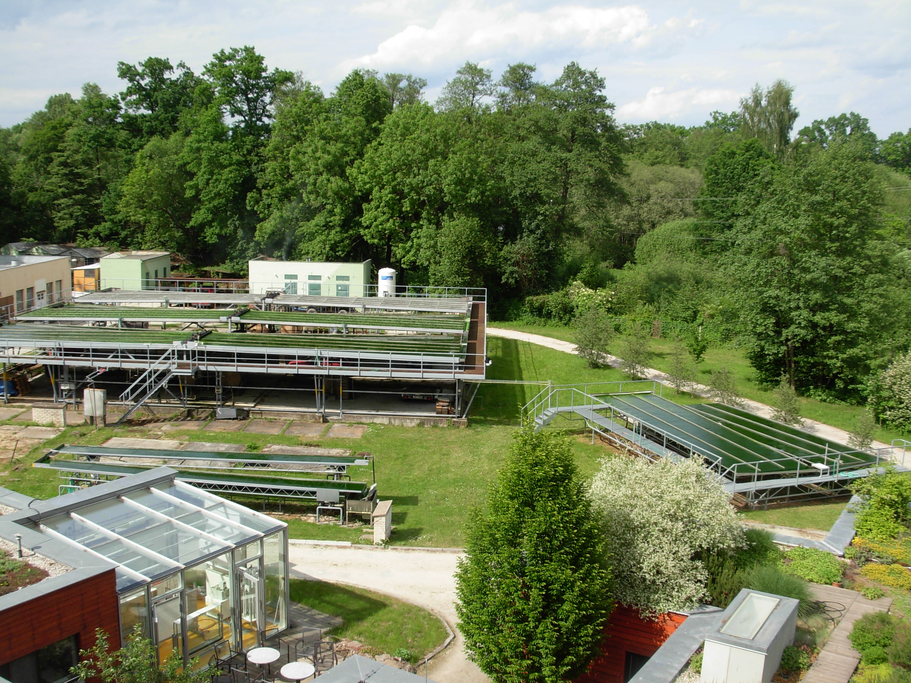 Phototrophic cultivation of microalgae | Algatech