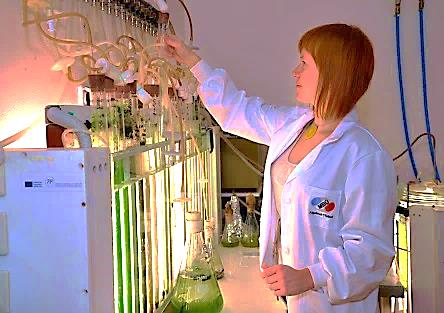 Centre Algatech | Algatech