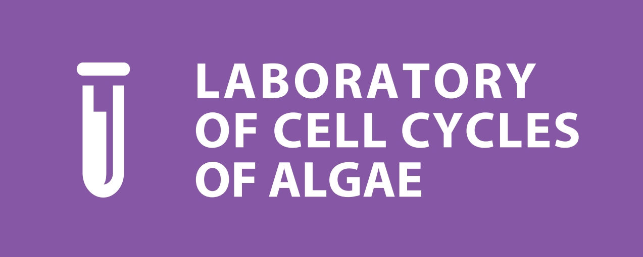 We are looking for a motivated candidate | Algatech